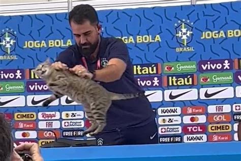 Najsretnija Na Svijetu Ta Se Desilo S Ma Kom Koja Je Prekinula Press Konferenciju Brazila