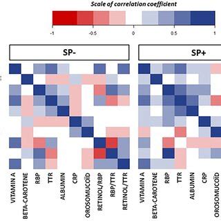 Flow Chart Of The Enrolled Women Divided Into The SPI And SPI Groups Download Scientific