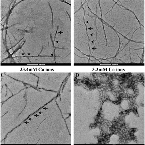 Tem Images And The X Ray Diffraction Of The 14p2 Self Assembly Formed Download Scientific