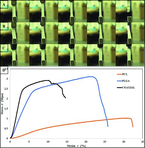 photographs of flat sheet scaffolds during tensile testing a pcl