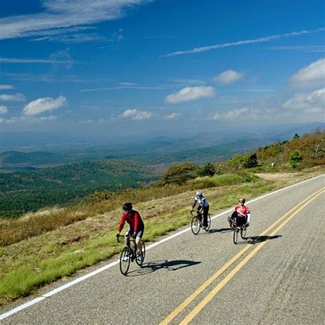 Michael Bagley Medium