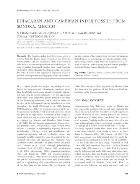 Pdf Ediacaran And Cambrian Index Fossils From Sonora Mexico