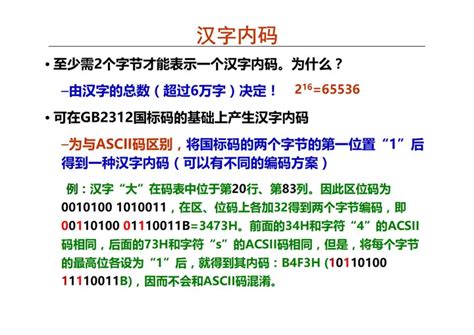 数据的表示和存储 第5讲 非数值数据的编码表示 csdn博客