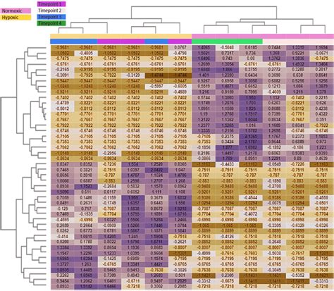 Heatmap Of The Top 44 Differentially Expressed Genes For Each Sample Download High