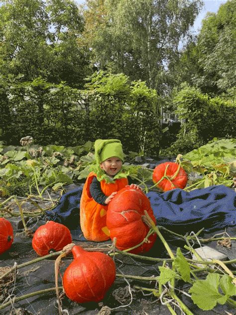 The Entire Nordson Efd Team Including Matthew Marketing