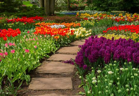 Top 25 Flower Types For Beautiful Gardens Best Garden Flowers Guide