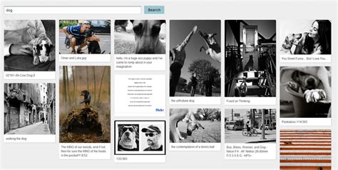 Standard Multimedia User Interface For Image Search Much More Complex Download Scientific
