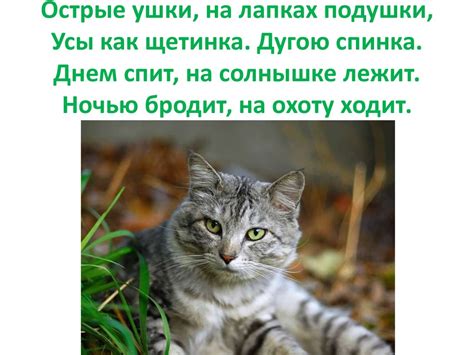 Домашние животные Заворчал живой замок лег у двери поперек презентация онлайн