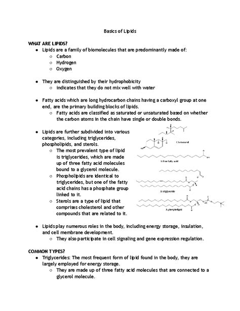 Basics Of Lipids Organic Chemistry Basics Of Lipids What Are Lipids