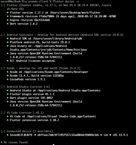 Using Lanten Proxy Error · Issue 2497 · Dart Langpub · Github