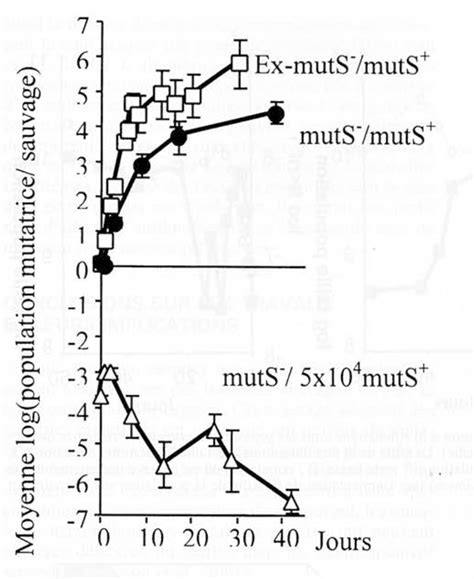 Figure 2 From Taux De Mutation Et Adaptation Des Bactéries Au Tube Digestif Semantic Scholar