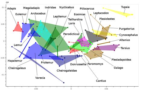 Multi Dimensional Scaling Mds Plots Visualizing Shape Similarities Download Scientific