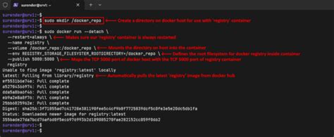 Private Docker Registry Setup Sysops