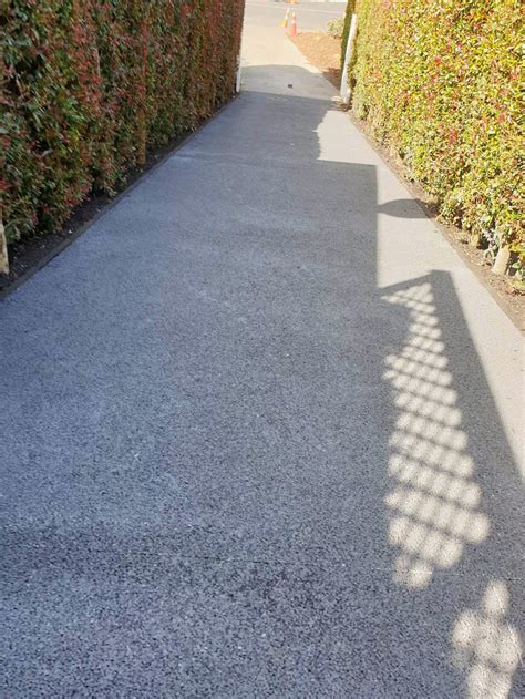 Tree Protection Zones Permeable Concrete New Zealand