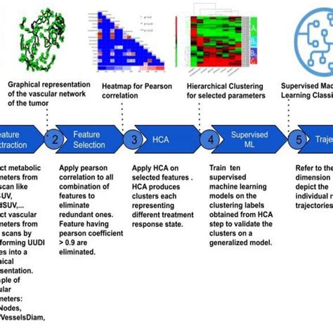 Heatmap And Hierarchical Clustering Performed A On The Dtrainingcon