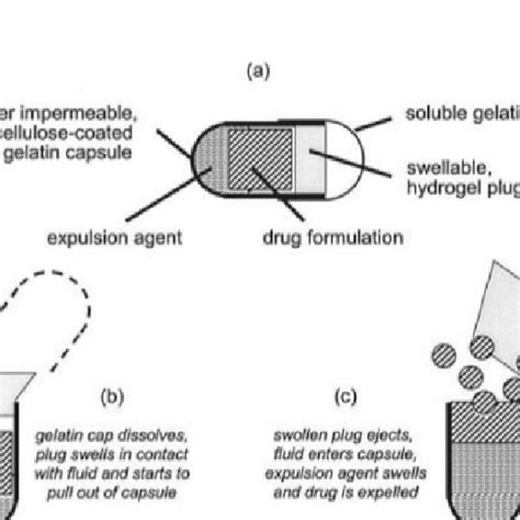 Drug Release From Magnetically Induced Pulsatile Systems Download Scientific Diagram
