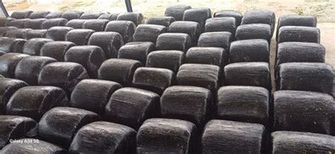 Granule Pellets Organic Corn Silage 50 Kg 65 At ₹ 7 Kg In Bengaluru Id 2853696270597