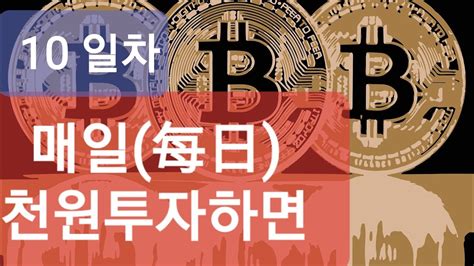 비트코인 매일 천원투자하기 20 03 12 10일차 가상화폐 블록체인 미래 가치투자 해킹주의 하기 Youtube