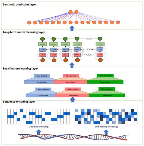 Prediction Of Dna Binding Proteins Using Local Features And Long Term Dependencies With Primary