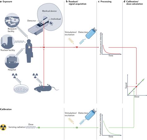 Steps Involved In The Application Of Luminescence Dosimetry A Download Scientific Diagram