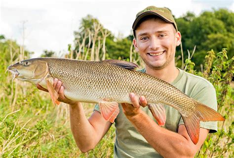 Ryan Hayden Drennan International