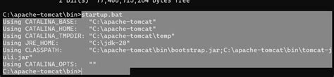 Lab Setting Up A Servlet Project With Apache Tomcat