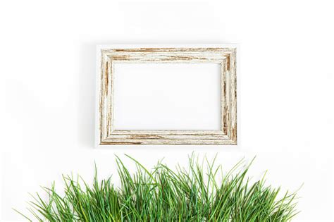 빈 나무 사진 프레임과 흰색 배경에 고립 된 신선한 녹색 잔디 공간을 복사합니다 상단 보기 플랫 레이 0명에 대한 스톡 사진 및 기타 이미지 Istock