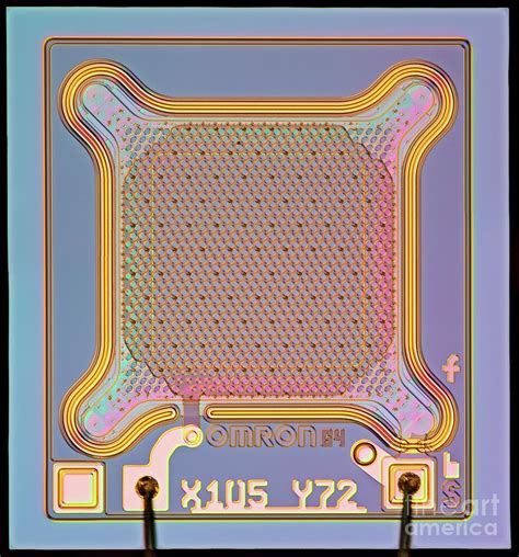 Smartphone Mems Microphone Photograph By Gerd Guenther Science Photo Library Fine Art America