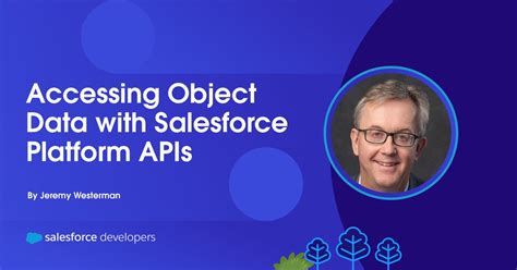 Accessing Object Data With Salesforce Platform Apis Sfdc Mindz