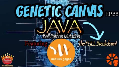 Genetic Canvas Java Ball Python Mutation And Combos Ft Markus Jayne