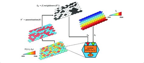 Hybrid Model Approach The Tissue Is Composed By A Grid Of Download Scientific Diagram