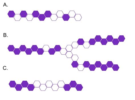 Absorbable Medical Devices As Implantable Tissue Scaffolds Poly Med