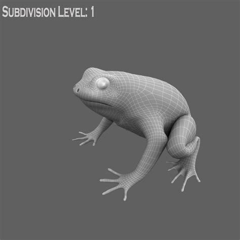 Frog Rigged — Missset