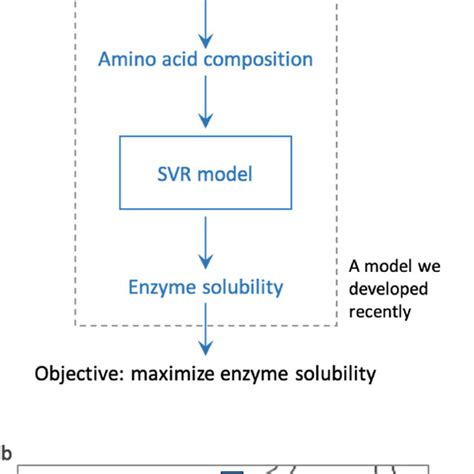 Machine Learning Model Assisted Optimization Of Protein Solubility A