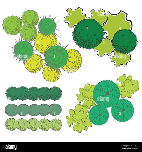 Landscape Design Tree Symbols