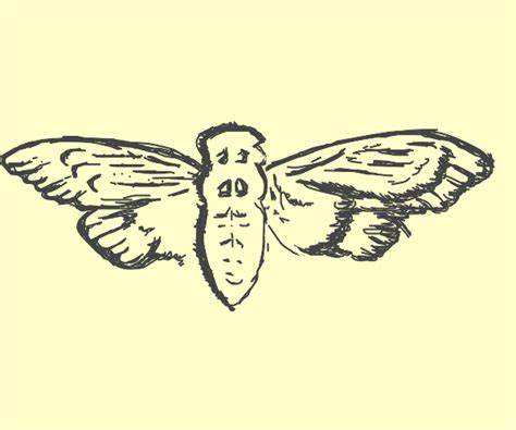 Sleepy Grasshopper Drawception Sleepy Grasshopper Drawception