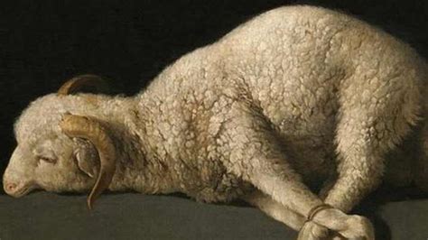 Crucea Ca Jertfă Biserica Română Unită Cu Roma Greco Catolică