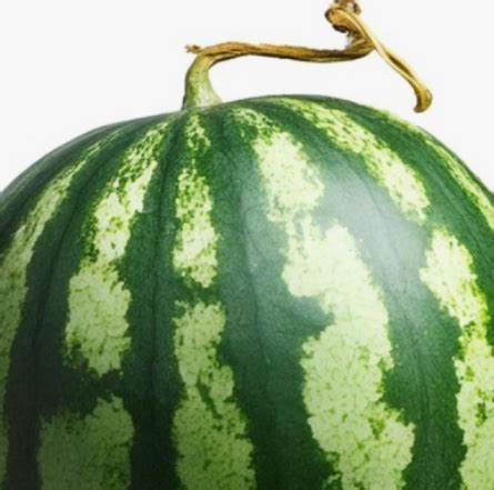 수박 특징 및 맛있는 수박 고르는 방법 수박 6가지 종류와 수박맛 소개 Powershin