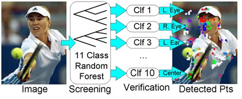 Keypoint Detection Involves Class Prediction With A Random Forest And Download Scientific