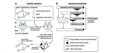 Examples Of Model Based Interpretation Methods From Section 44 In