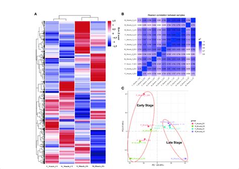 The Cluster Analysis Of The Transcript A The Analysis Was Performed Download Scientific