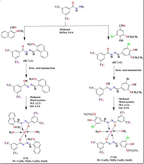 新合成的腙配体过渡金属 Ii 配合物的抗结核、抗菌、抗炎功效研究：结构解析和理论研究 Scientific Reports X Mol