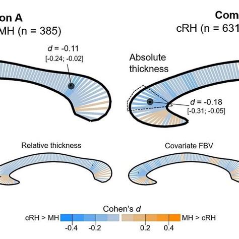 Segment Wise Presentation Of The Effect Size Of The Handedness Group Download Scientific
