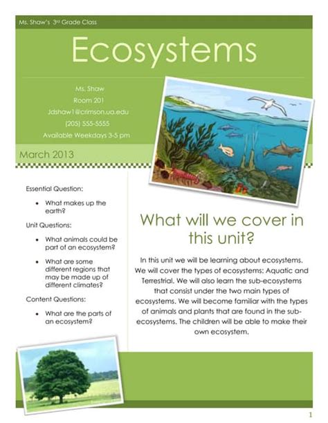 Cl Sample Constructivist Lesson Plan Pdf Biological Sciences Science