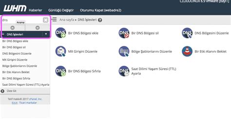 Whm Panelde Özel Dns Ayarlarımı Nasıl Yaparım Tr