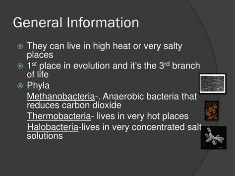 Ppt Archaea Powerpoint Presentation Free Download Id2510713