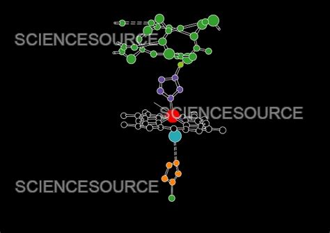 Heme Group In Hemoglobin Artwork Stock Image Science Source Images