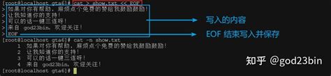 一分钟学一个 linux 命令 cat 和 tail 知乎