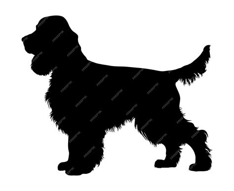Premium Vector Standing Cocker Spaniel Dog Silhouette Vector Illustration