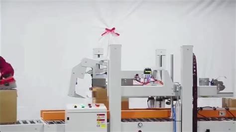 Ada Zhang On Linkedin Automatic Carton Packaging